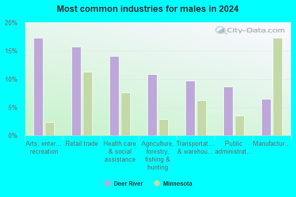 Deer River, Minnesota (MN 56636) profile: population, maps, real estate ...