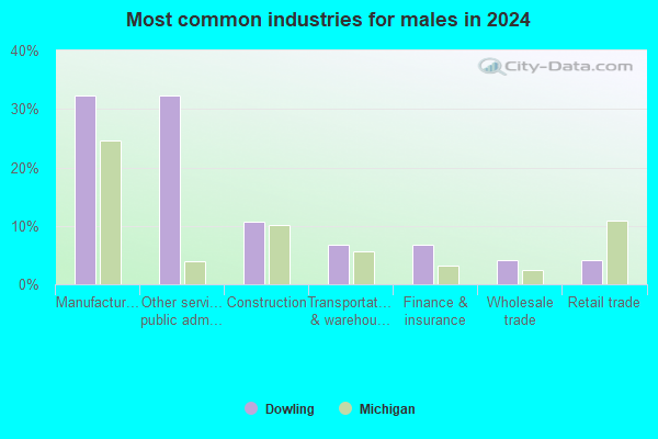 Dowling, Michigan (MI 49050, 49058) profile: population, maps, real ...