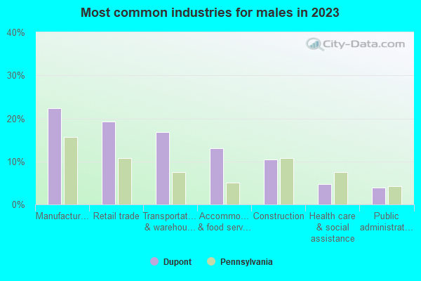 Dupont, Pennsylvania (PA 18641) profile: population, maps, real estate ...