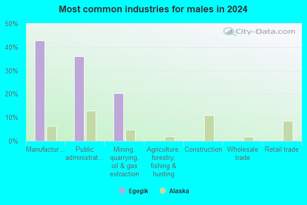Egegik, Alaska (AK 99579) profile: population, maps, real estate ...