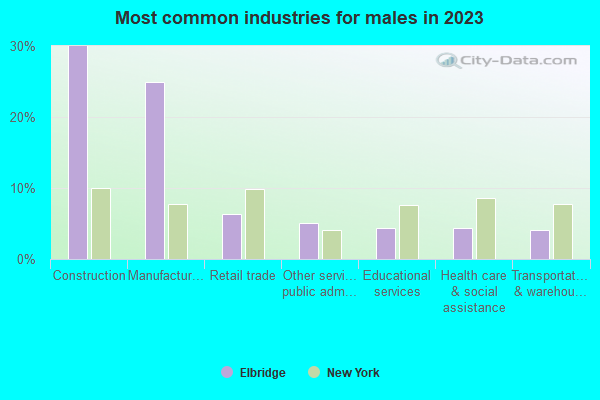 Elbridge, New York (NY 13060) profile: population, maps, real estate ...