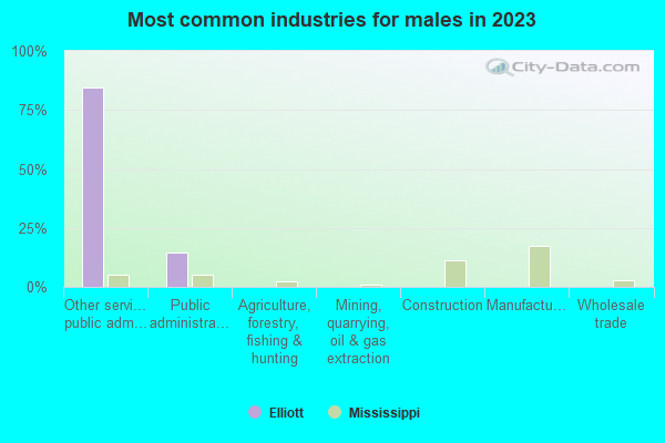 Elliott, Mississippi (MS 38901) profile: population, maps, real estate ...