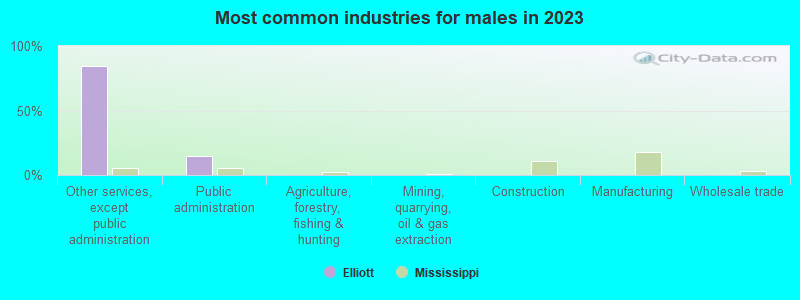 Elliott, Mississippi (MS 38901) profile: population, maps, real estate ...
