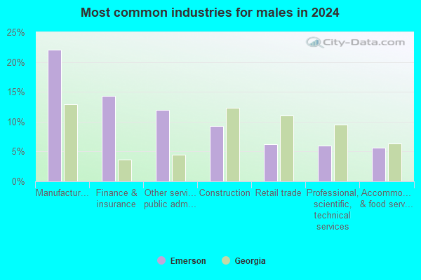 Emerson, Georgia (GA 30137) profile: population, maps, real estate ...