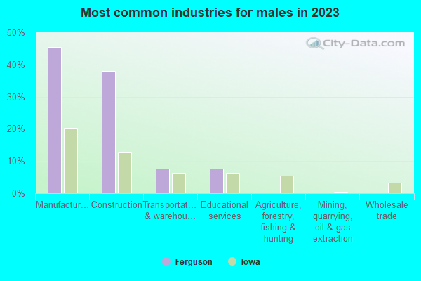 Ferguson, Iowa (IA 50078) profile: population, maps, real estate ...