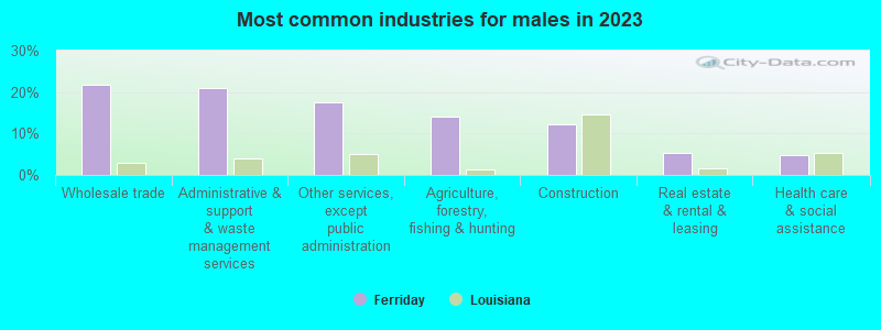 Ferriday, Louisiana (LA 71334) profile: population, maps, real estate ...