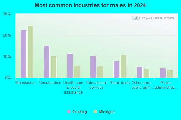 Flushing, Michigan (MI 48433) profile: population, maps, real estate ...