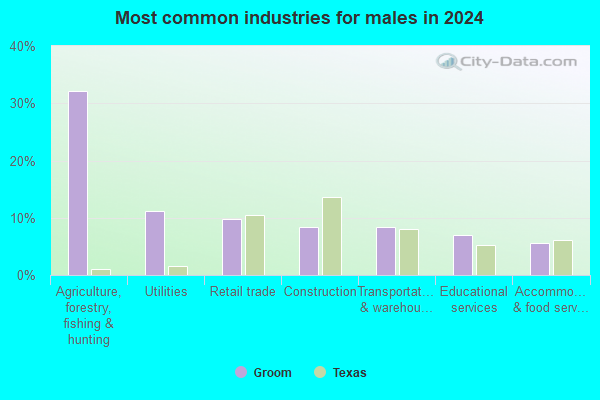 Groom, Texas (TX 79039) profile: population, maps, real estate ...