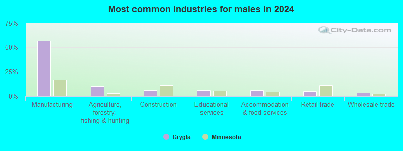 Grygla, Minnesota (MN 56727) profile: population, maps, real estate ...