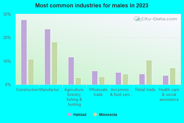 Halstad, Minnesota (MN 56548) profile: population, maps, real estate ...