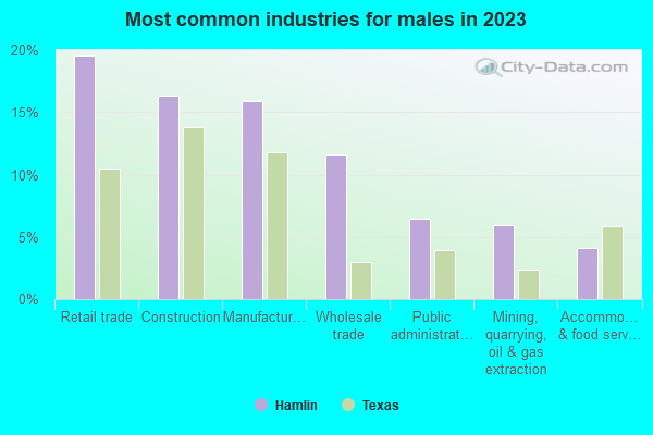 Hamlin, Texas (TX 79520) profile: population, maps, real estate ...