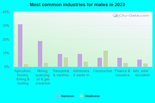 Hammon, Oklahoma (OK 73650) profile: population, maps, real estate ...