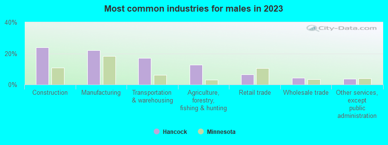 Hancock, Minnesota (MN 56244) profile: population, maps, real estate ...