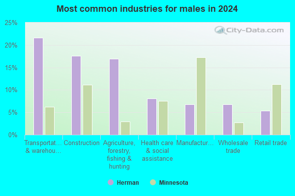 Herman, Minnesota (MN 56248) profile: population, maps, real estate ...