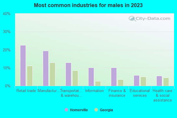 Homerville, Georgia (GA 31634) profile: population, maps, real estate ...