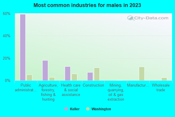 Keller, Washington (WA 99140) profile: population, maps, real estate ...