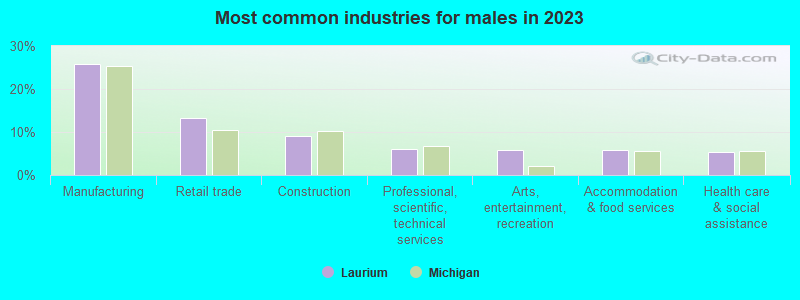 Laurium, Michigan (MI 49913) profile: population, maps, real estate ...