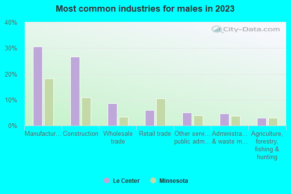 Le Center, Minnesota (MN 56057) profile: population, maps, real estate ...