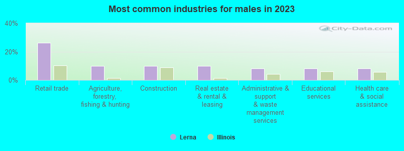 Lerna, Illinois (IL 62440) profile: population, maps, real estate ...