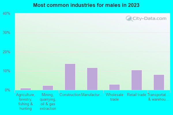 Los Alvarez, Texas (TX 78582) profile: population, maps, real estate ...