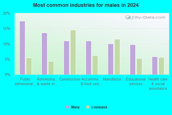 Many, Louisiana (LA 71449) profile: population, maps, real estate ...