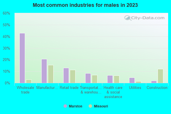 Marston, Missouri (MO 63866) profile: population, maps, real estate ...