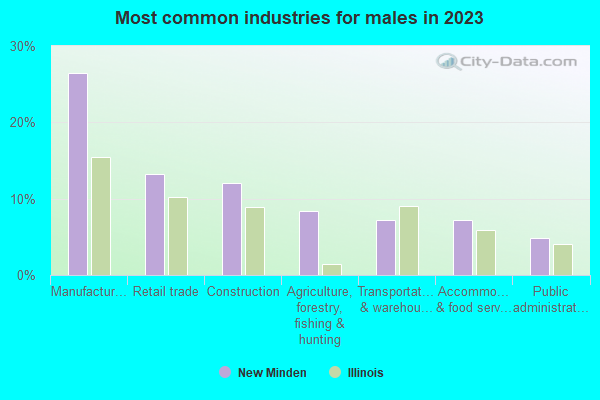 New Minden, Illinois (IL 62263) profile: population, maps, real estate ...