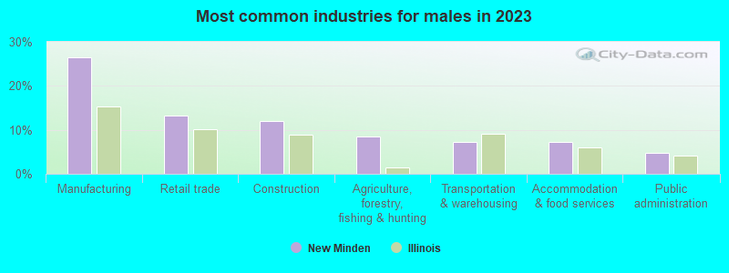 New Minden, Illinois (IL 62263) profile: population, maps, real estate ...
