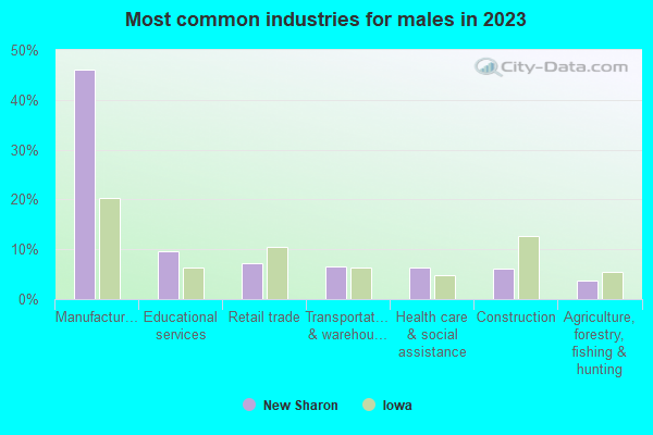 New Sharon, Iowa (IA 50207) profile: population, maps, real estate ...