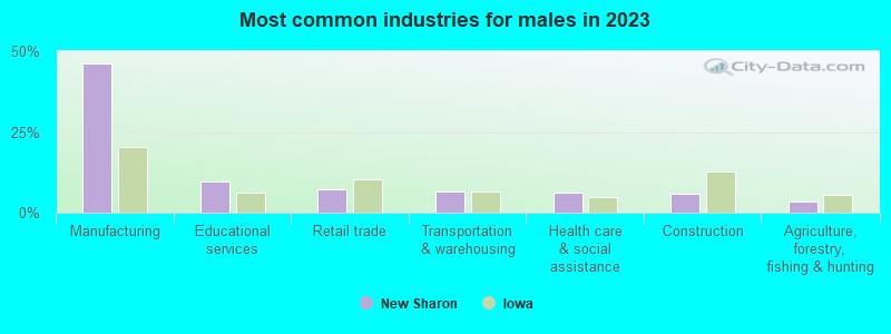 New Sharon, Iowa (IA 50207) profile: population, maps, real estate ...
