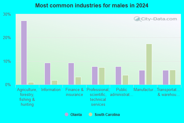 Olanta, South Carolina (SC 29114) profile: population, maps, real ...