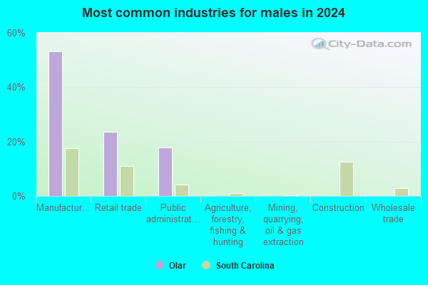 Olar, South Carolina (SC 29843) profile: population, maps, real estate ...
