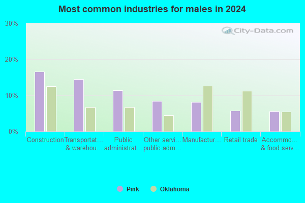 Pink, Oklahoma (OK 74873) profile: population, maps, real estate ...