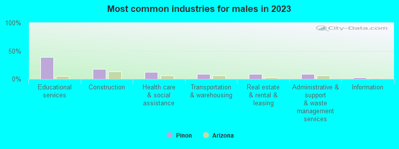 Pinon, Arizona (AZ 86510) profile: population, maps, real estate ...
