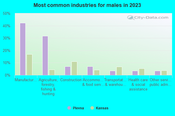 Plevna, Kansas (KS 67568) profile: population, maps, real estate ...