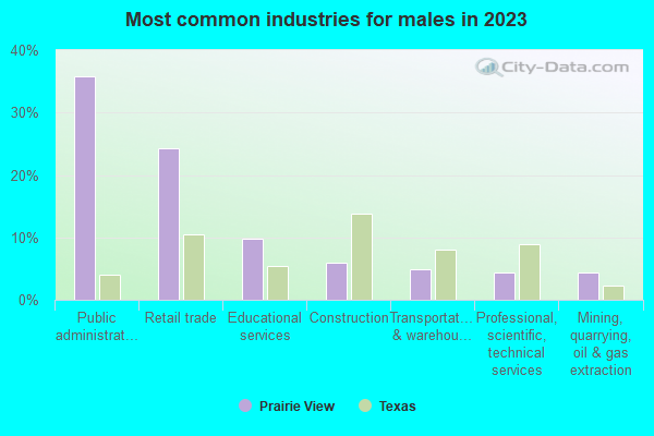 Prairie View, Texas (TX 77446) profile: population, maps, real estate ...