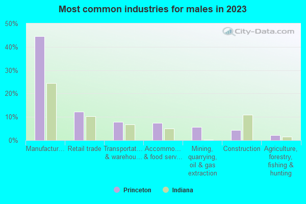 Princeton, Indiana (IN 47670) profile: population, maps, real estate ...