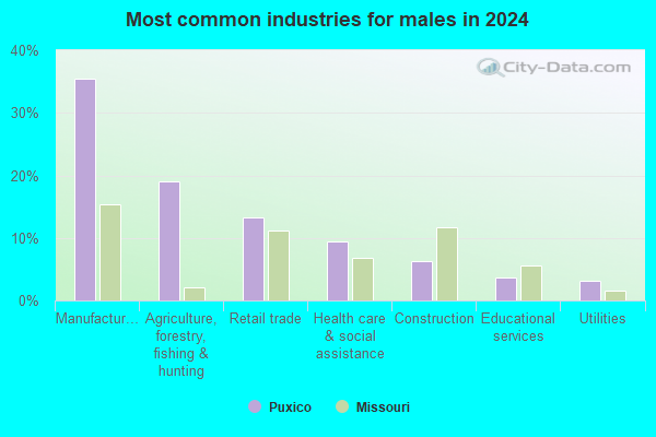 Puxico, Missouri (MO 63960) profile: population, maps, real estate ...