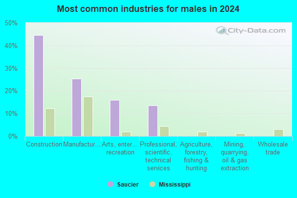 Saucier, Mississippi (MS 39574) profile: population, maps, real estate ...
