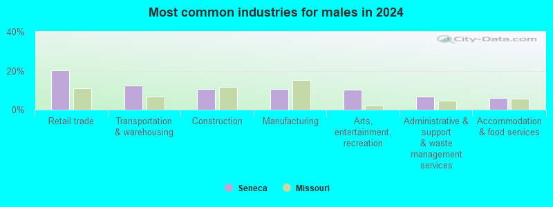 Seneca, Missouri (MO 64865) profile: population, maps, real estate ...