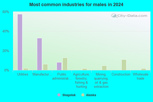 Shageluk, Alaska (AK 99665) profile: population, maps, real estate ...