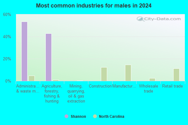 Shannon, North Carolina (NC 28386) profile: population, maps, real ...