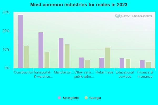 Springfield, Georgia (GA 31329) profile: population, maps, real estate ...