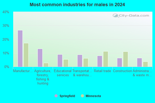 Springfield, Minnesota (MN 56087) profile: population, maps, real ...