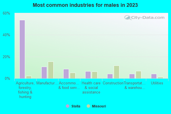 Stella, Missouri (MO 64867) profile: population, maps, real estate ...