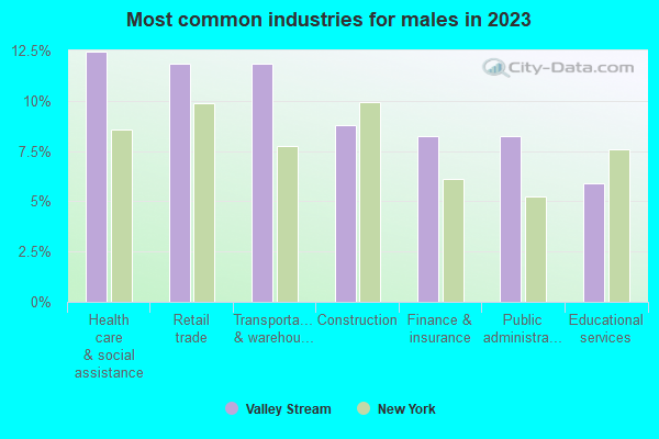 Valley Stream, New York (NY 11580) profile: population, maps, real ...