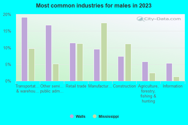 Walls, Mississippi (MS) profile: population, maps, real estate ...