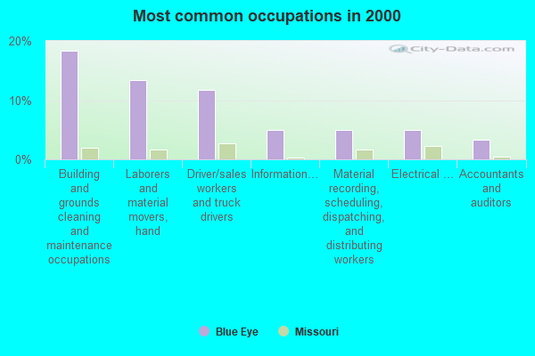 Blue Eye, Missouri (MO 65611) profile: population, maps, real estate ...