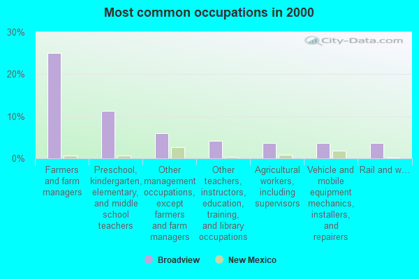 Broadview, New Mexico (NM 88112) profile: population, maps, real estate ...