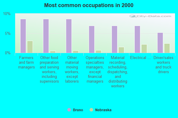 Bruno, Nebraska (NE 68014) profile: population, maps, real estate ...